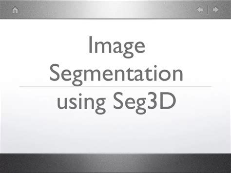 Ppt Image Segmentation Using Seg3d Segmentation From Clinical Scans