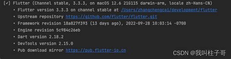 Flutter中路由传值方式flutter 路由传值 Csdn博客