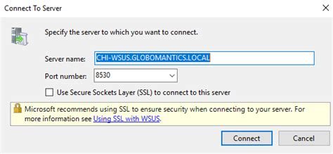 Installing Wsus Petri It Knowledgebase