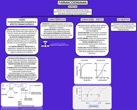 Mapas Conceptuales De La Farmacodinamia 【descargar】