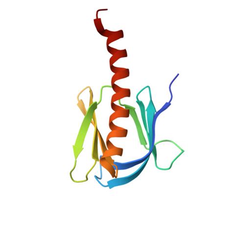 RCSB PDB 7MYX Crystal Structure Of The PH Domain R86A Of Akt1