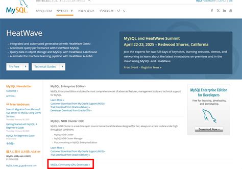 【2025】java＋mysql＋servlet＆jsp環境構築マニュアル！ ichikou