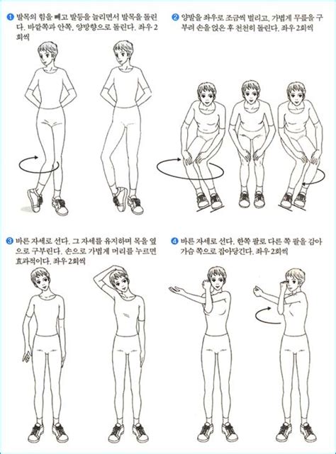 헬스 초보 준비운동과 정리운동의 효과 네이버 블로그