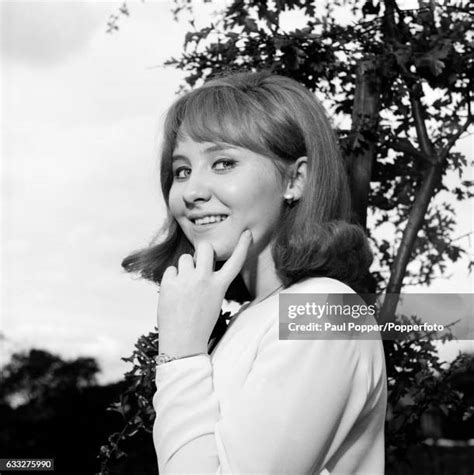 Lulu Singer Photos And Premium High Res Pictures Getty Images
