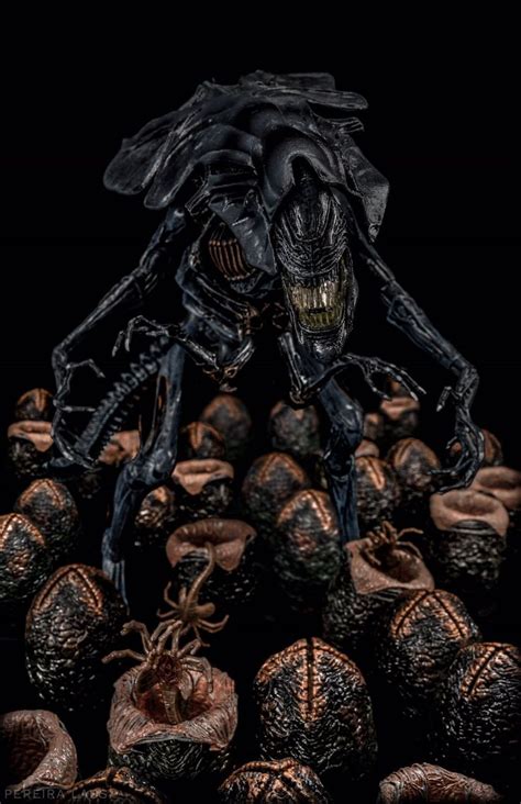 Pin By Stephen Kyle On Aliens Alien Vs Predator Alien Queen Facehugger