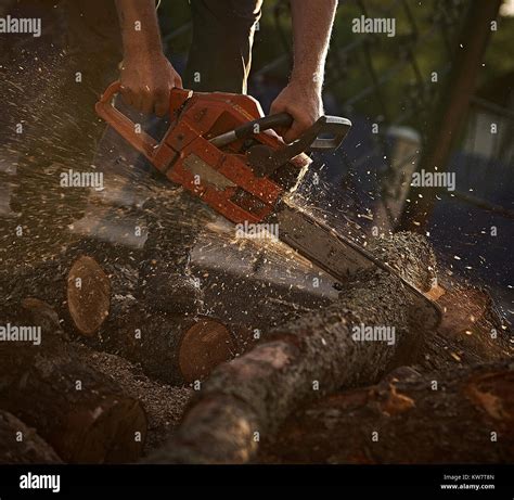 A Man Cutting Tree With Chainsaw Stock Photo Alamy