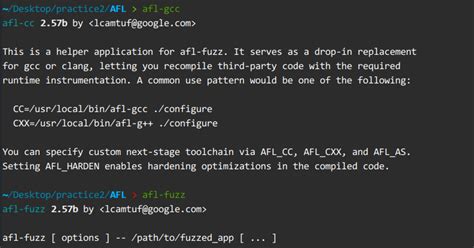 【软件与系统安全】上机作业practice2 Afl模糊测试实验 Csdn博客