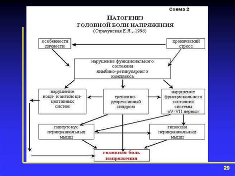 Мигрень у взрослых и детей Диагностические признаки мигрени