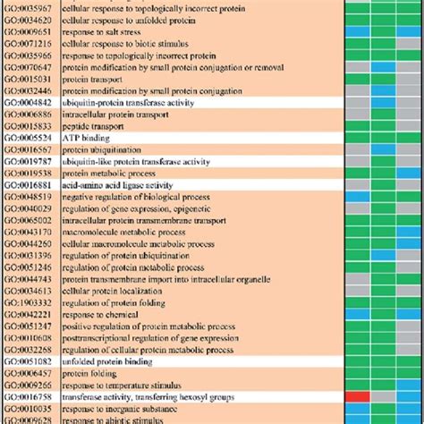 The Mds Clustering Patterns Of The Replicated Rna Seq Samples Features