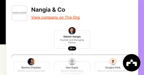 Nangia And Co The Org