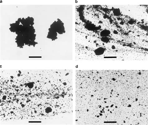 Figure 1 From A Review Of The Terms Agglomerate And Aggregate With A