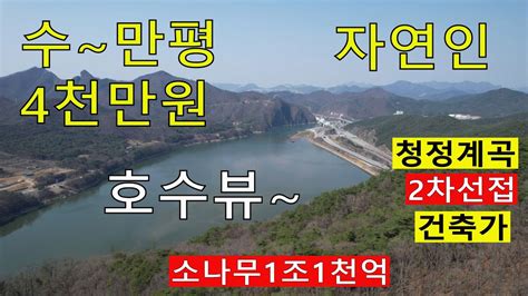 4천만원 수~만평 호수뷰~ 싼임야 남향 2차선접 건축가 자연인 전원생활 약용재배 소나무1조1천억 방목 산분장 땅과함께새희망을경매임야 공매임야 나도땅주인 Youtube