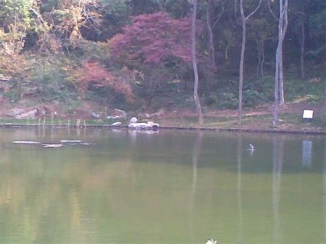 2023栖霞山游玩攻略历史古迹很多！最高点可以俯【去哪儿攻略】