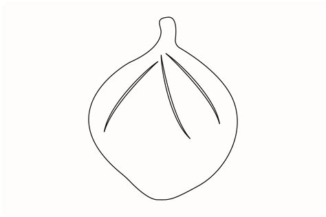 Fruit Icon Line Vector 16 Graphic By Fruitstore016 · Creative Fabrica