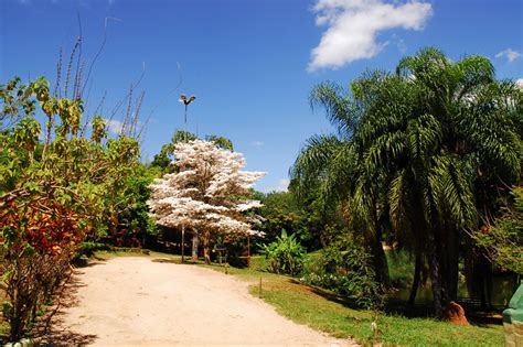 5 Melhores Bairros De Sorocaba Para Morar