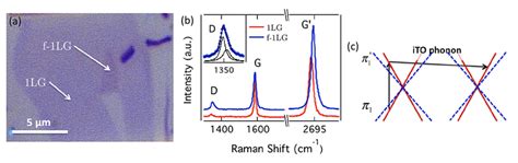8 a optical microscope image of 1lg and folded 1lg f 1lg on