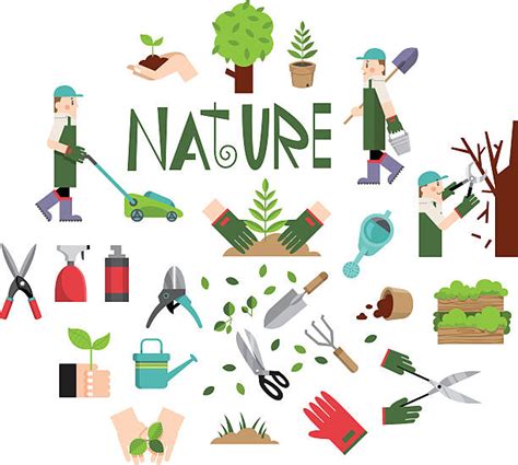 Tree Pruning Illustrations Royalty Free Vector Graphics And Clip Art