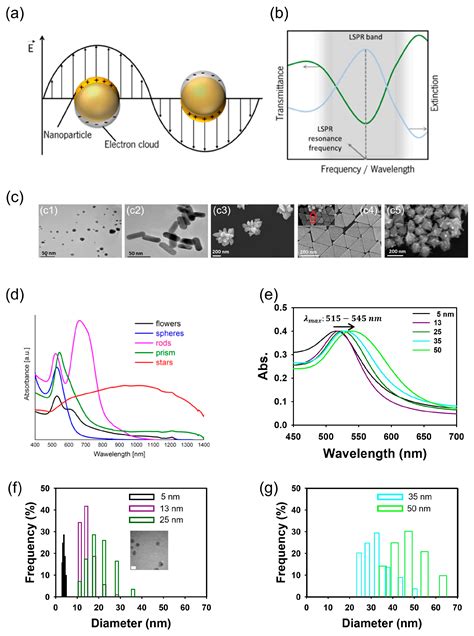 Gold Nanoparticle Based Colorimetric Biosensing For Foodborne Pathogen