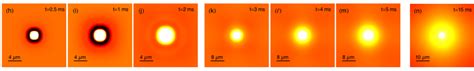 Color Online Evolution Of The Two Point Density Correlation Function