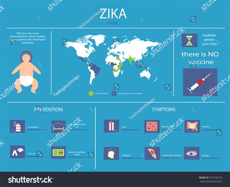 Zika Virus Infographic Elements Vector Stock Vector Royalty Free