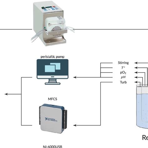Real‐time Implementation Diagram Download Scientific Diagram