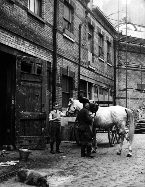 Lilo Blum Equestrian Spitalfields Life