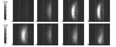 2d Scans Of Temporal Development Of Discharge Constriction Labels 1 8 Download Scientific