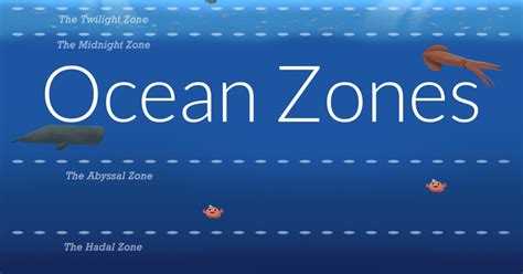 Ocean Zones Teaching Animation Nautilus Live