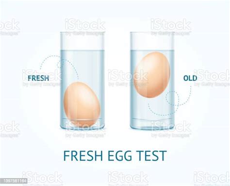 현실적인 상세한 3d 신선한 계란 테스트 개념 벡터 물리학에 대한 스톡 벡터 아트 및 기타 이미지 물리학 액체 3차원