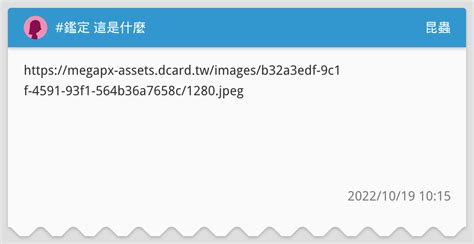 鑑定 這是什麼 昆蟲板 Dcard