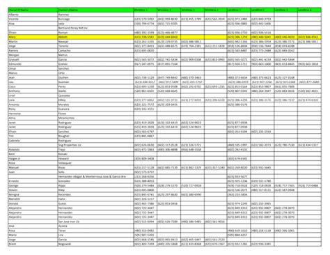 perform excel data entry clean merging splitting data by naveen4911