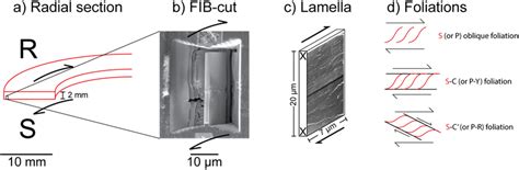 Microanalytical Methods A Orientation Of Sample Sectioning Radial Download Scientific