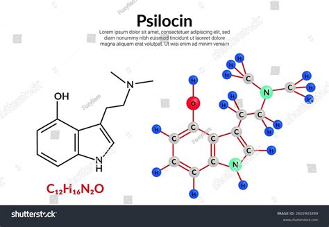 Psilocin Structure Over 85 Royalty Free Licensable Stock Illustrations