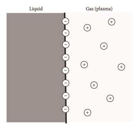 Schematic View Of The Negatively Charged Surface And Ionic Atmosphere