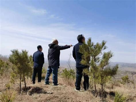 草原天路全力推进长城国家文化公园野狐岭段项目前期工作 澎湃号政务 澎湃新闻 The Paper