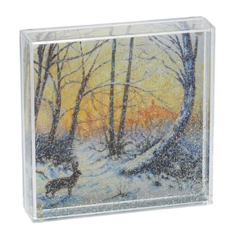 Taking A New Path Glitter Snow Globe Frame Happy Glastonbury
