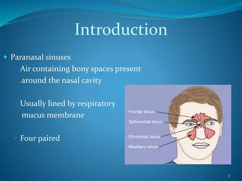 Disorders Of Maxillary Sinus Pptx