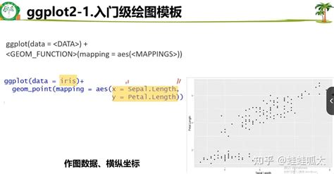 5 r语言绘图ggplot 表达矩阵转换循环画图 知乎