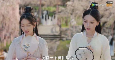 三金影后周冬雨“下凡”被嘲的锅，该谁来背？
