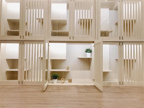 Ocd Thailand โรคย้ำคิดย้ำทำ ความแตกต่างระหว่างโรควิตกกังวล Gad กับโรคย้ำคิดย้ำทำ Ocd 🟧 โรค