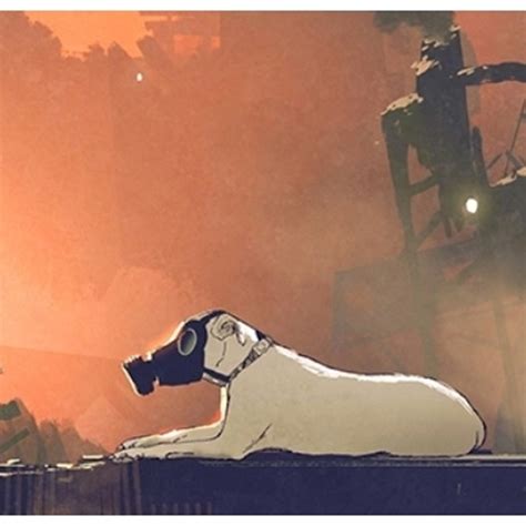 Domestication Makes No Sense Chernobyl Dog Tumblr Blog Tumlook