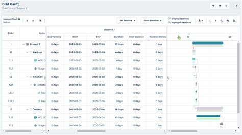 How Do I Display Baselines In The Gantt Chart
