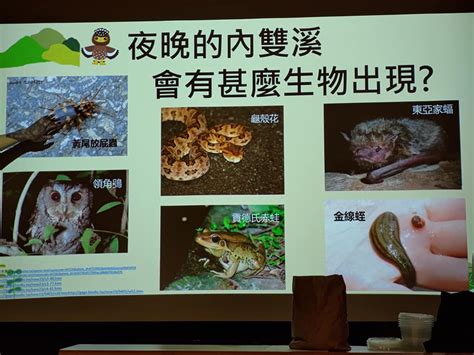 大人不喜歡昆蟲要如何引導孩子接觸自然親子天下