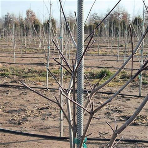Teksupply 109103 Fiberglass Tree Stake Fence Post 0 50 In X 6 Ft