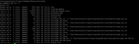 Citrix Netscaler Customizar Portal Rfwebui Cambio Del Texto