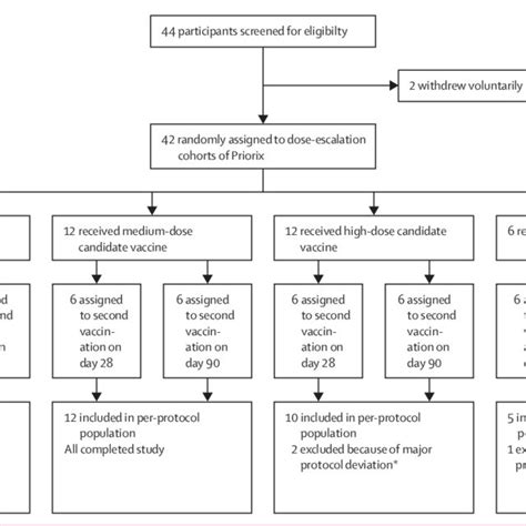 Trial Profi Le Major Protocol Deviations Were Time Window Deviations