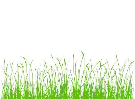 Premium Vector Grass Pattern