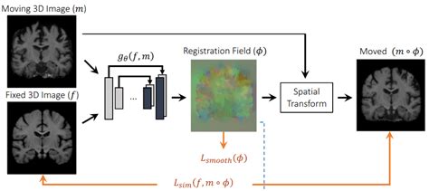 Deep Learning In Mri Beyond Segmentation Medical Image Reconstruction Registration And