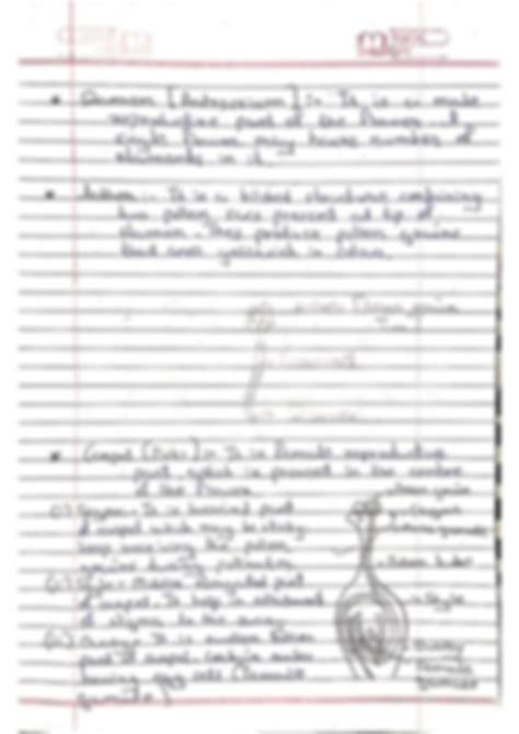 Solution Sexual Reproduction In Flowering Plants Notes Studypool