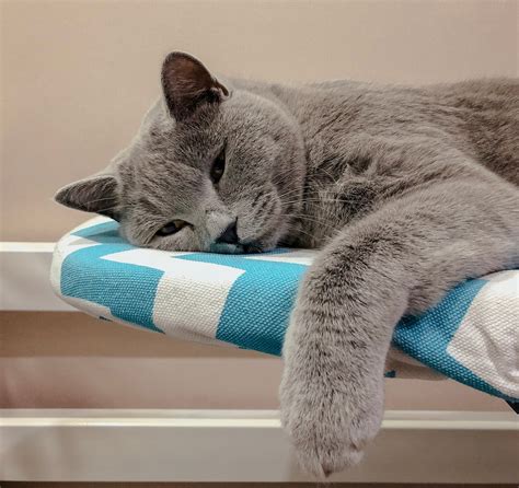 Anny Luna — Teletype